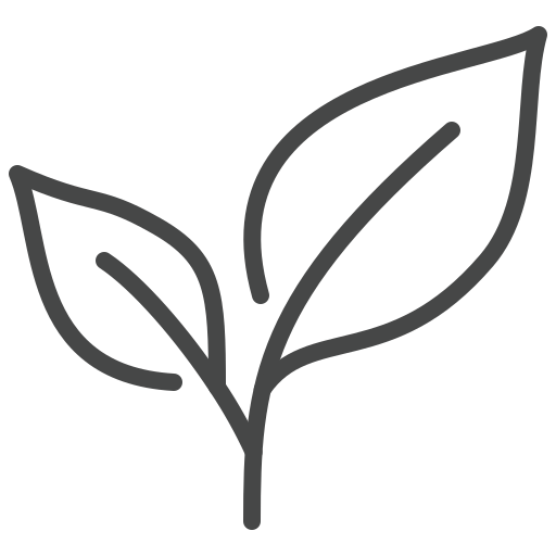 ByBareeque - Bareeque